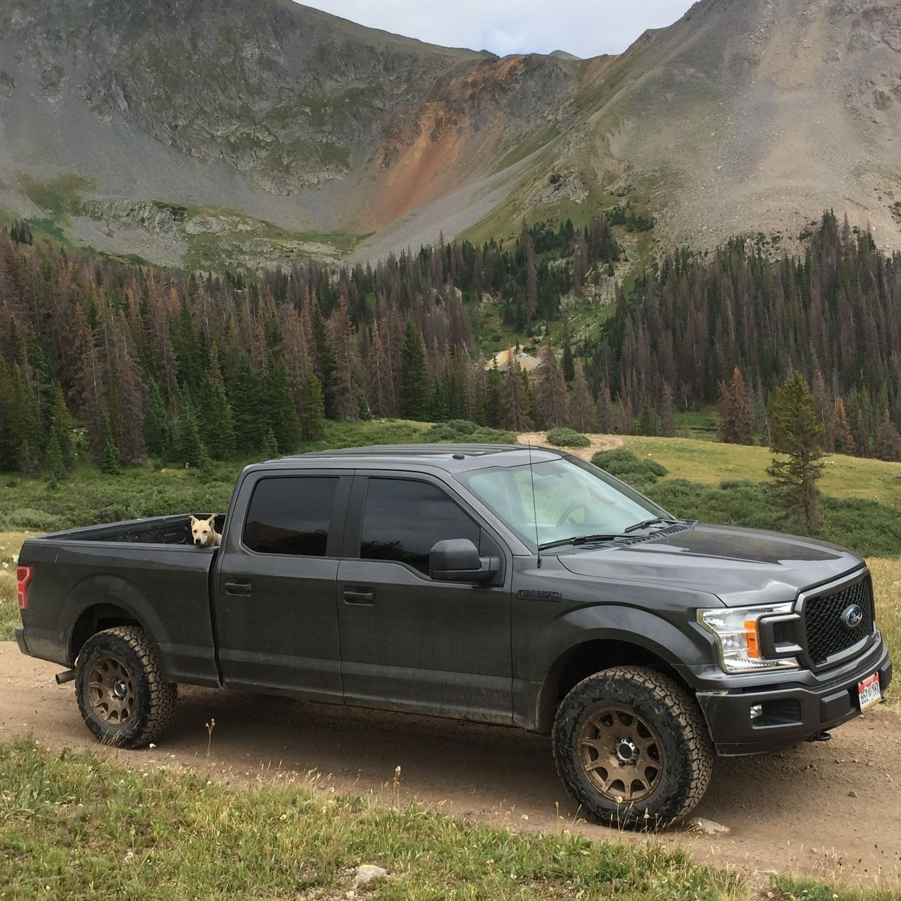 Newbie from Colorado - Ford F150 Forum - Community of Ford Truck Fans