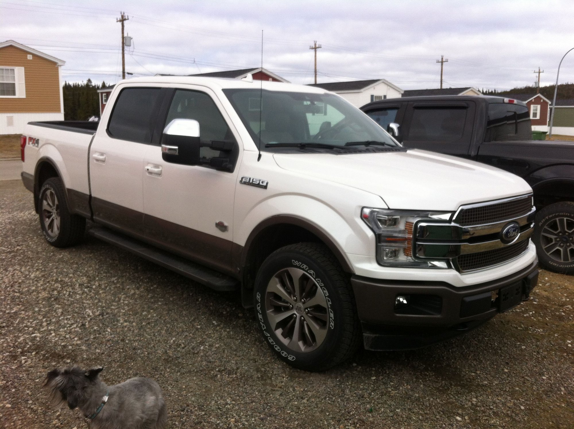 My 2019 King Ranch - Ford F150 Forum - Community of Ford Truck Fans