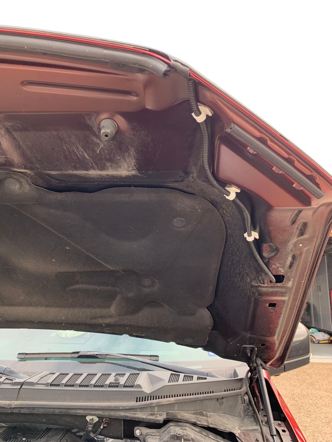 AVS Aeroskin LightShield (lighted bug deflector) - Ford F150 Forum ...