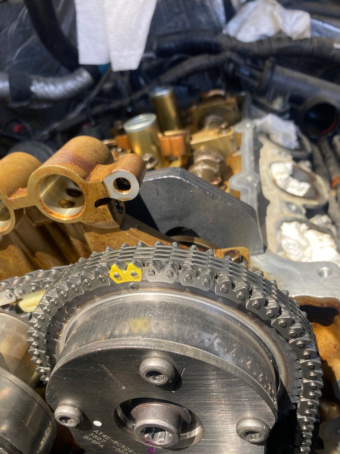 2012 F150 Ecoboost Timing Chain Marks - Ford F150 Forum - Community of ...