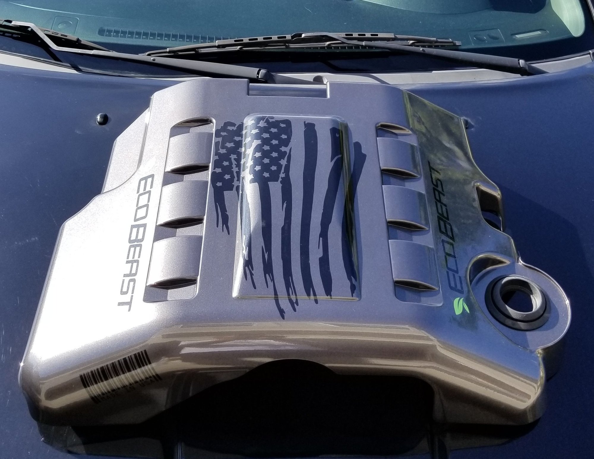 Custom EB engine covers? Show 'em! - Page 2 - Ford F150 Forum ...