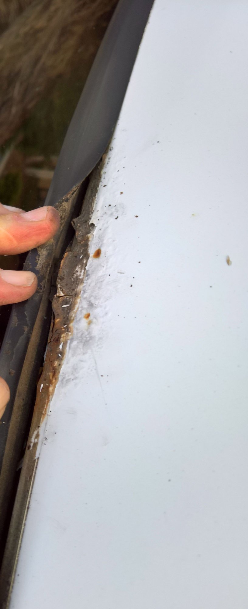 Rust on windshield edge - F150online Forums