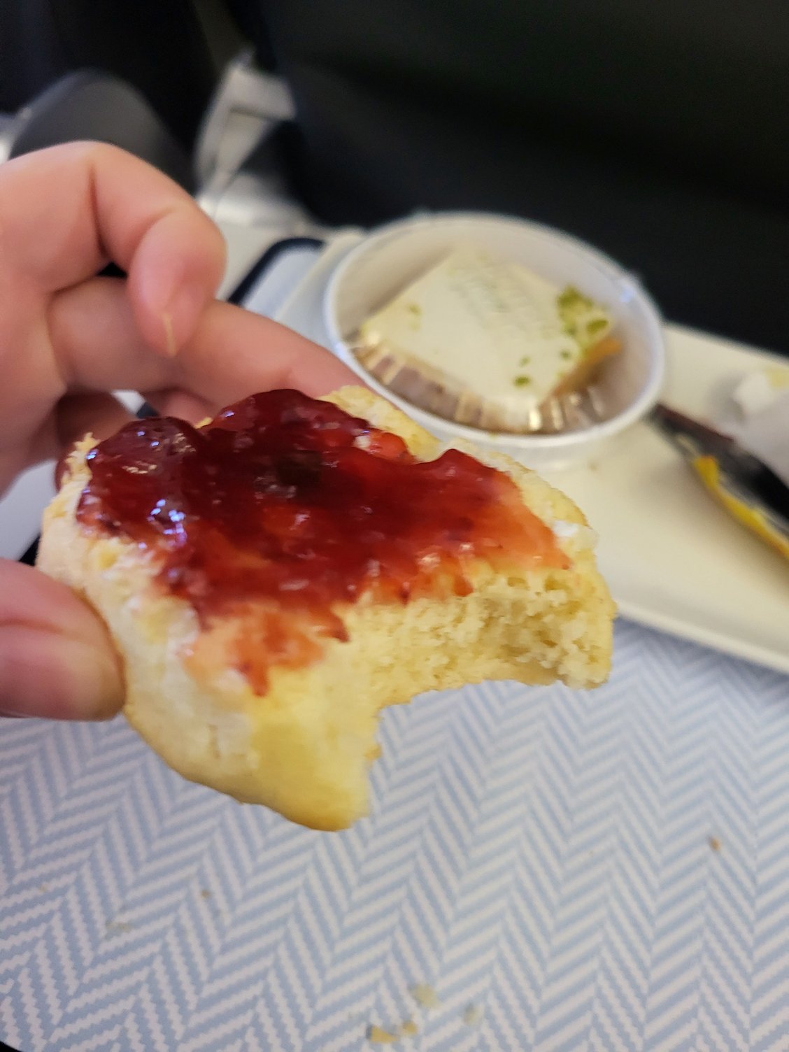 Club Europe catering | menus, reviews and photos - Page 221 - FlyerTalk ...