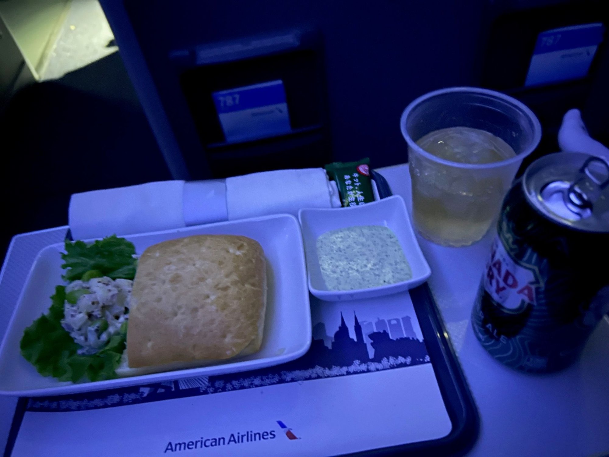 2025 AA International Meal / Meals - menu / photos / etc. (master ...