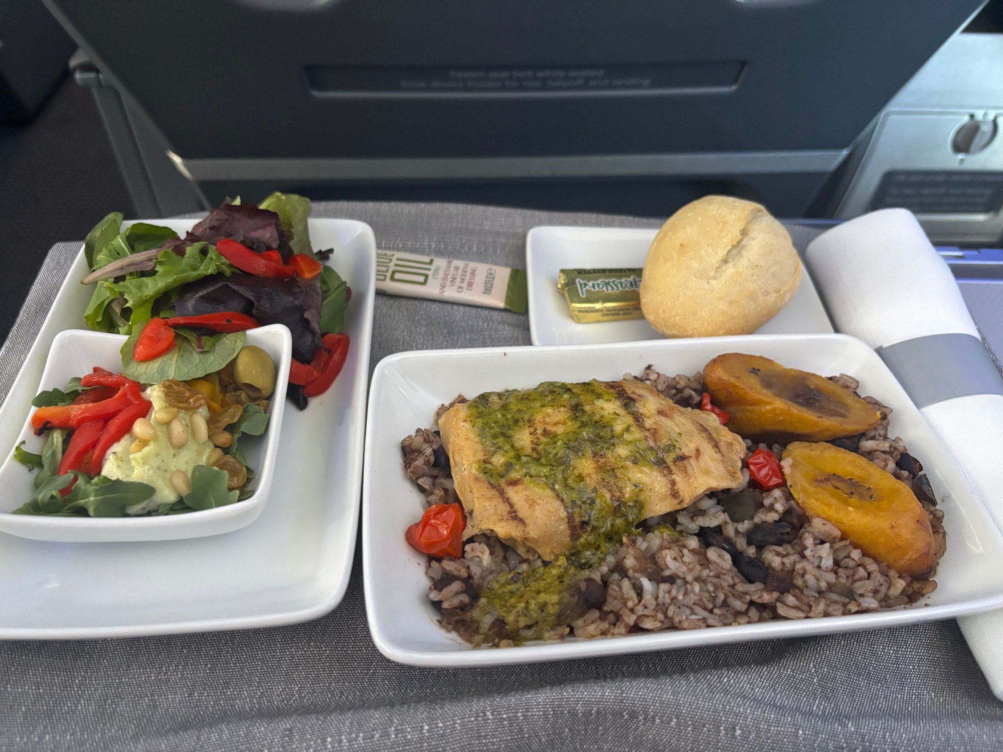 2025 AA Domestic Meal / Meals - menu / photos / etc. (master thread ...