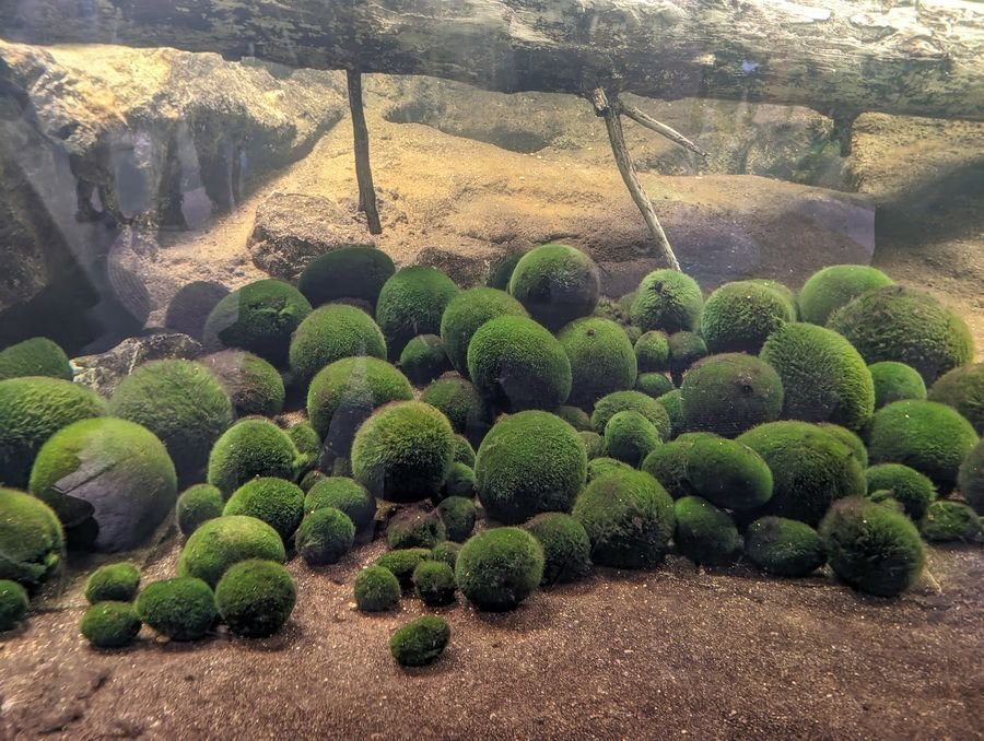 Japan Luxury Ryokans - A Primer + Impressions - Page 10 - FlyerTalk Forums