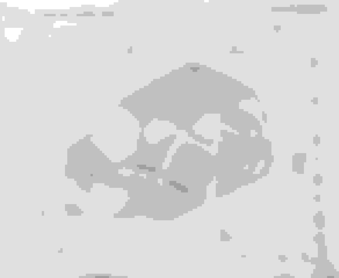 Wiring loom diagram - BCM, TCM & RCM - Ford Truck Enthusiasts Forums