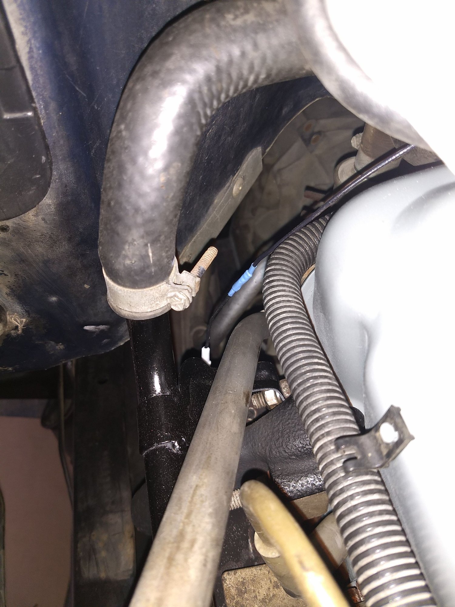 O2 Sensor Help - Ford Truck Enthusiasts Forums