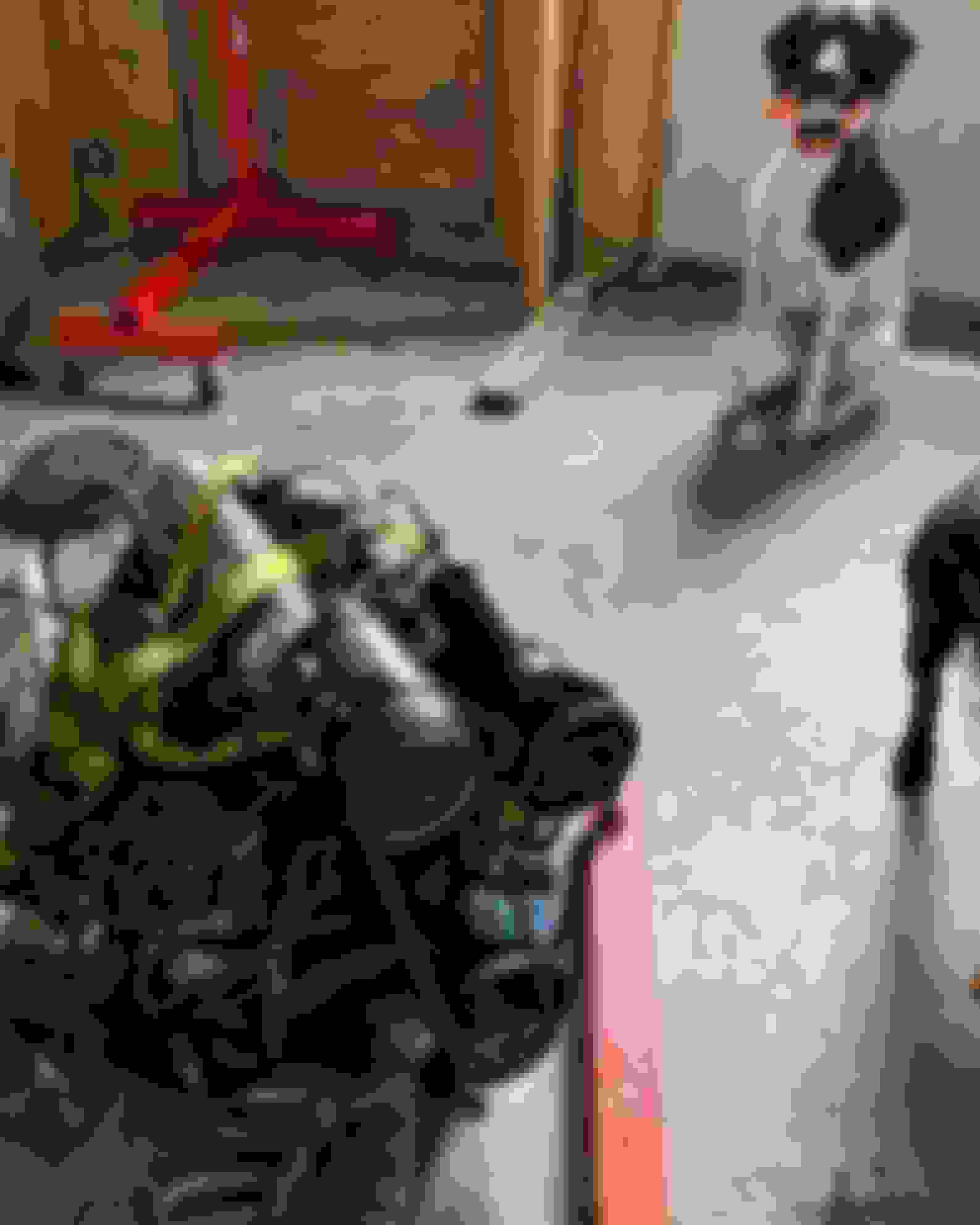 My ratty 74 highboy build - Ford Truck Enthusiasts Forums