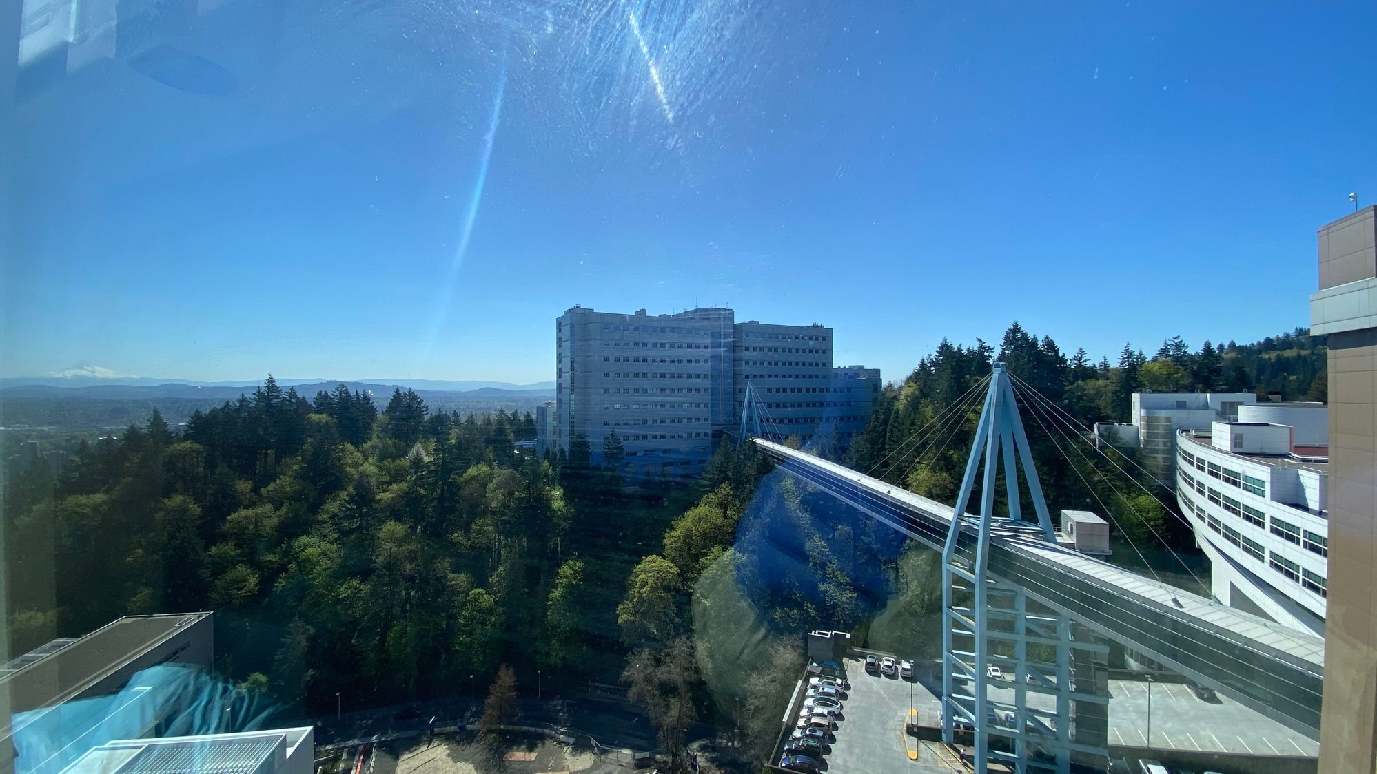 2021 General Chat Thread Hopefully not the Roller Coaster Ride 2020 ...