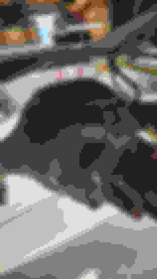 1972 Ford courier 4x4 v8 289 (running gear?)? - Ford Truck Enthusiasts ...