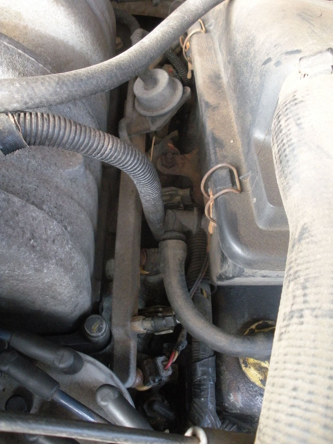 no fuel pressure/fuel at the fuel rail - Ford Truck Enthusiasts Forums
