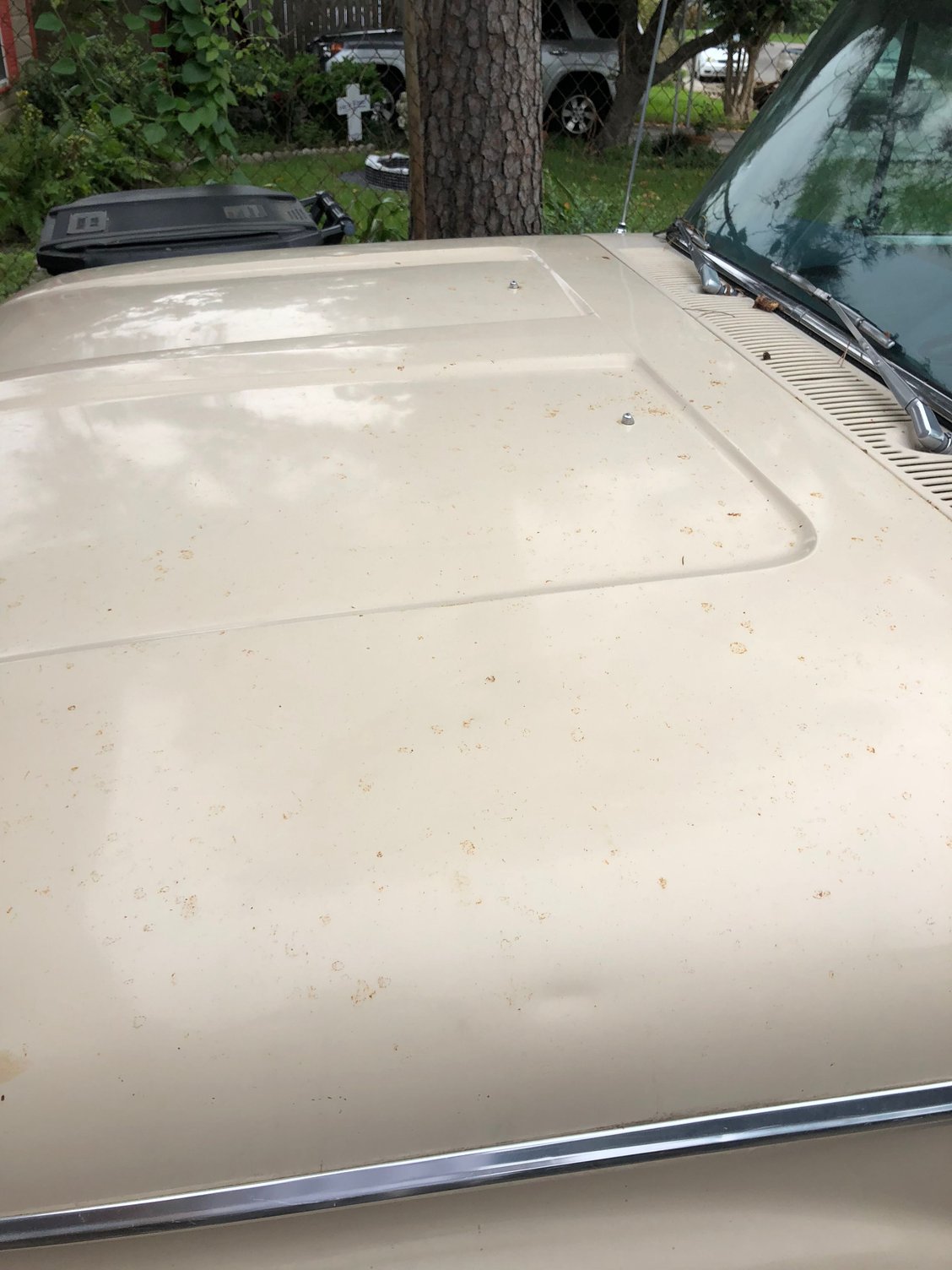 Light Surface Rust Removal? - Ford Truck Enthusiasts Forums