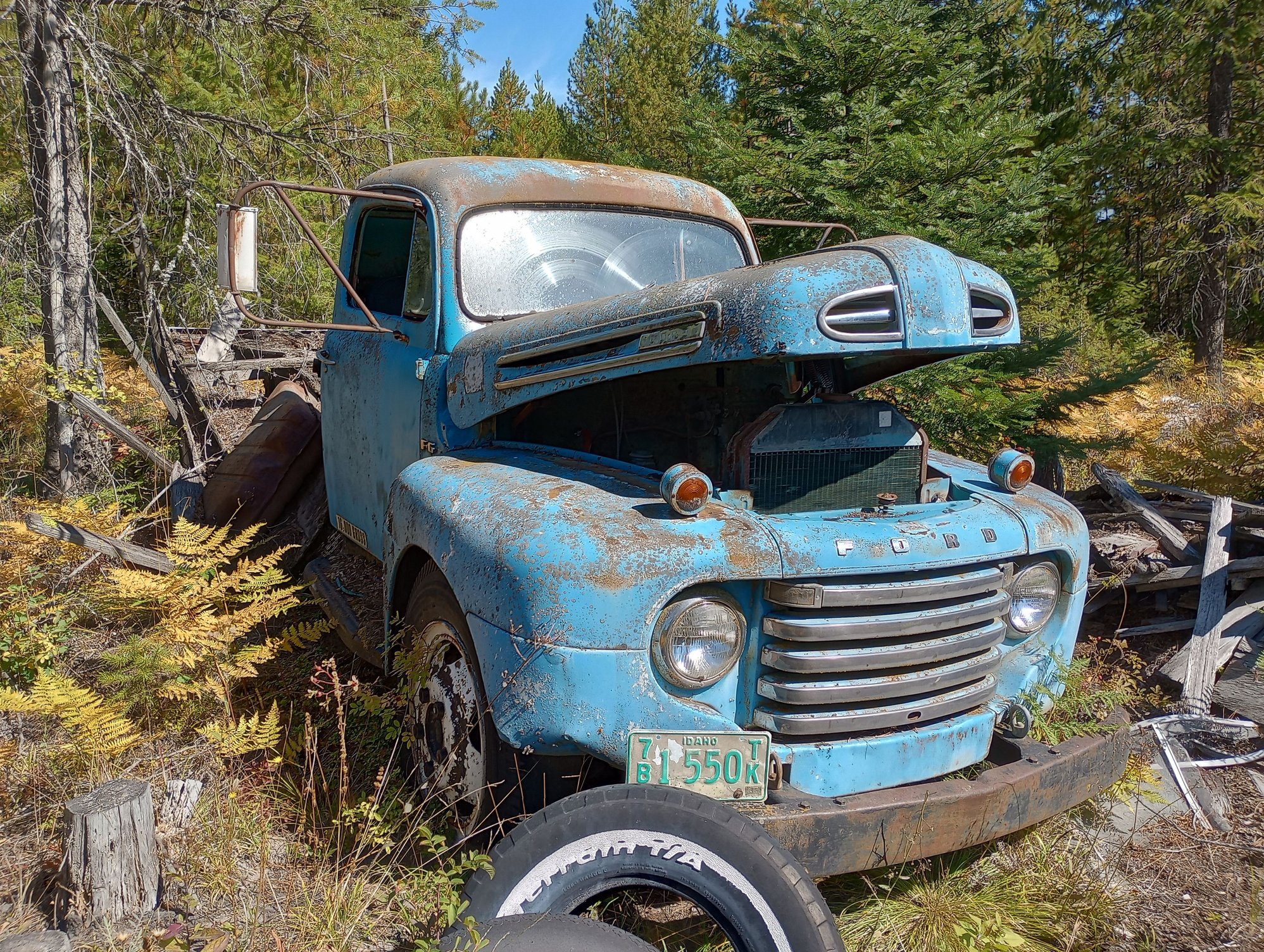 Questions about 1948 Ford F-6 - Ford Truck Enthusiasts Forums