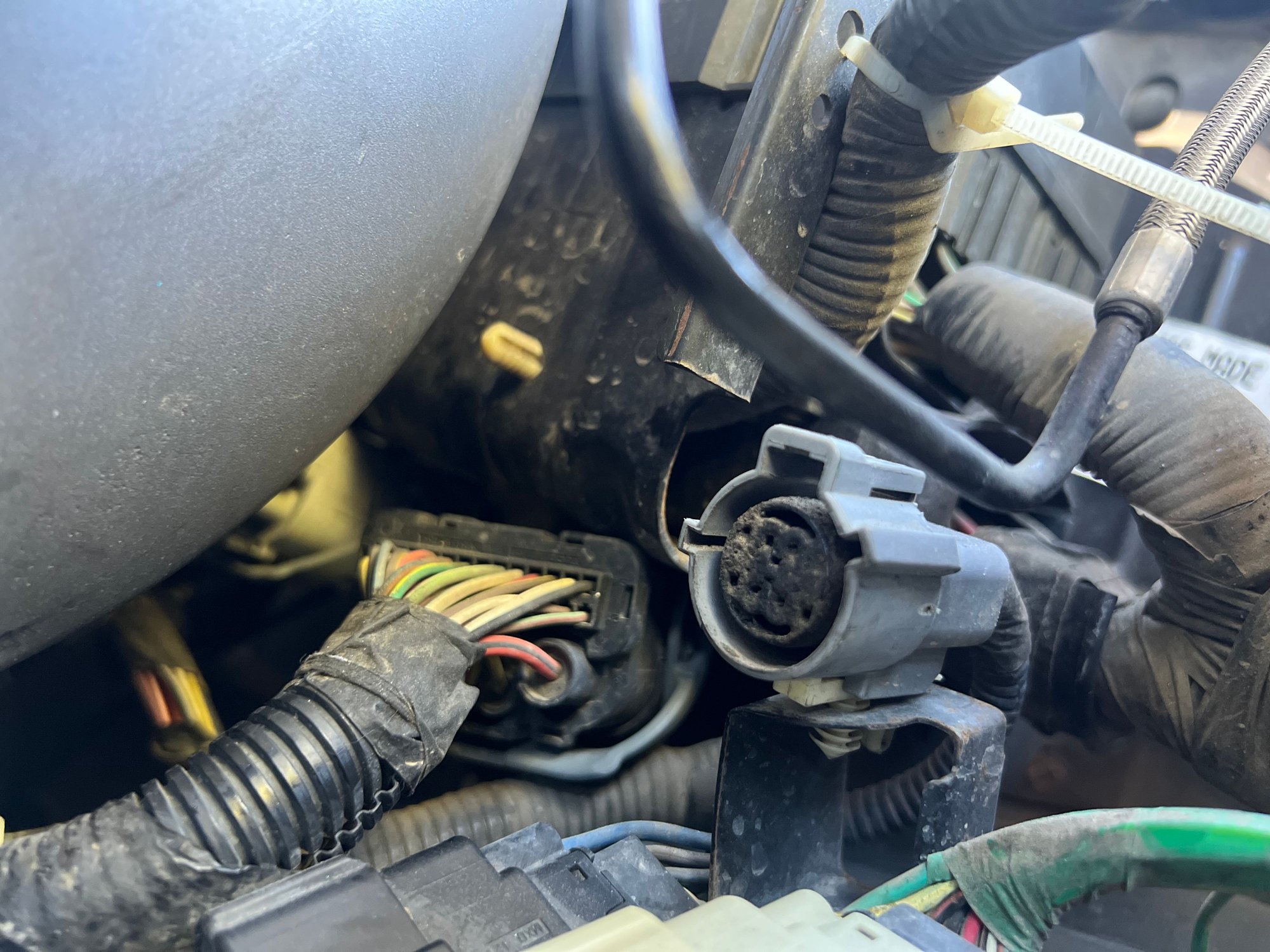 What is this connector for? - Ford Truck Enthusiasts Forums
