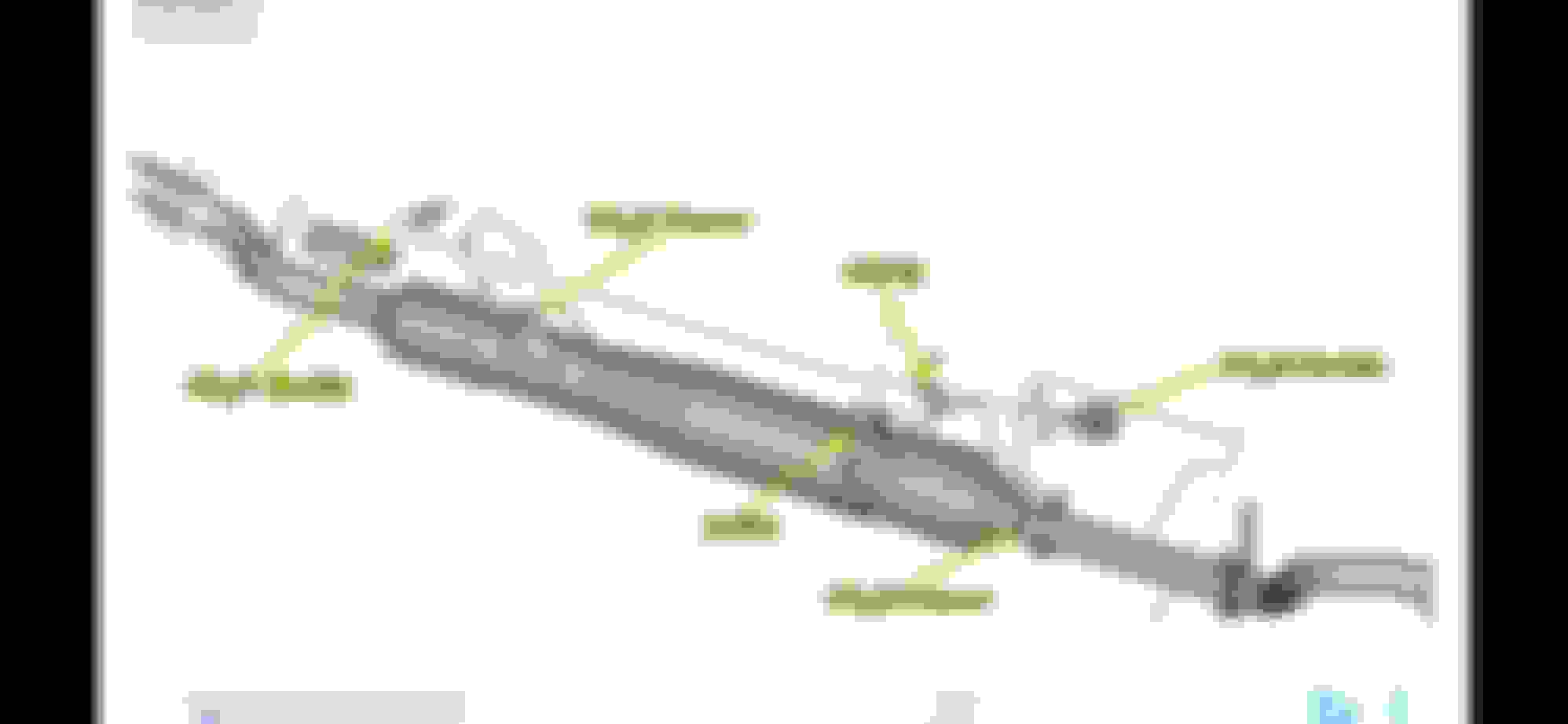 P20EE NOx sensor bank 1 - Ford Truck Enthusiasts Forums