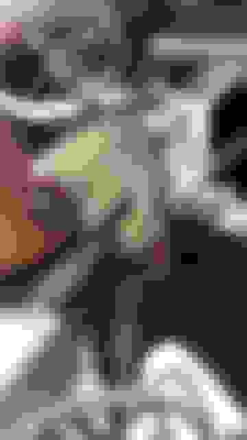 1997 F150 XLT Help with rABS - Ford Truck Enthusiasts Forums