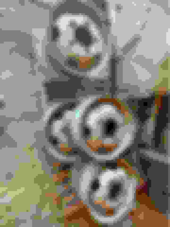 19.5 5 lug Budd wheels - Ford Truck Enthusiasts Forums