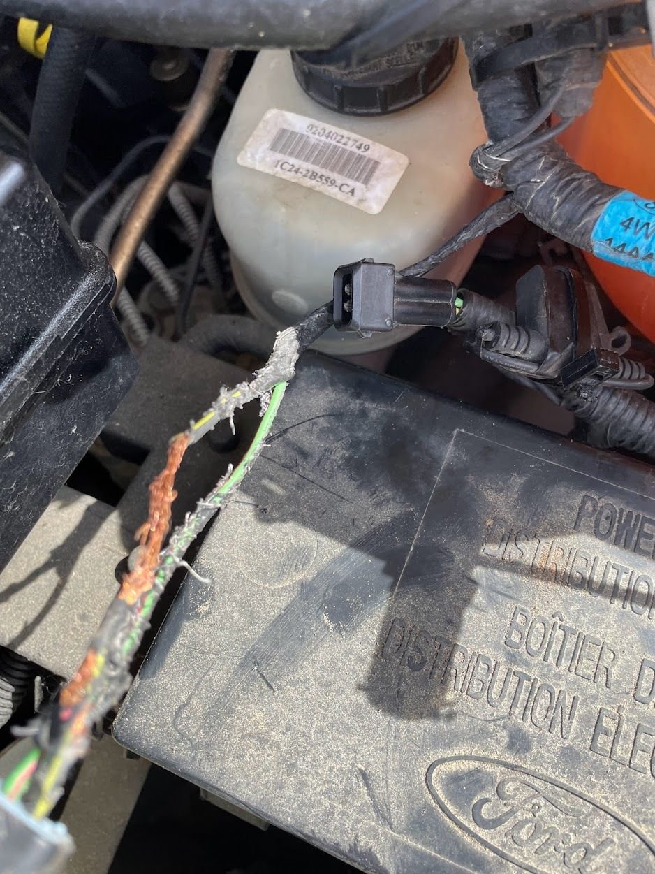 need help identifying connector - Ford Truck Enthusiasts Forums