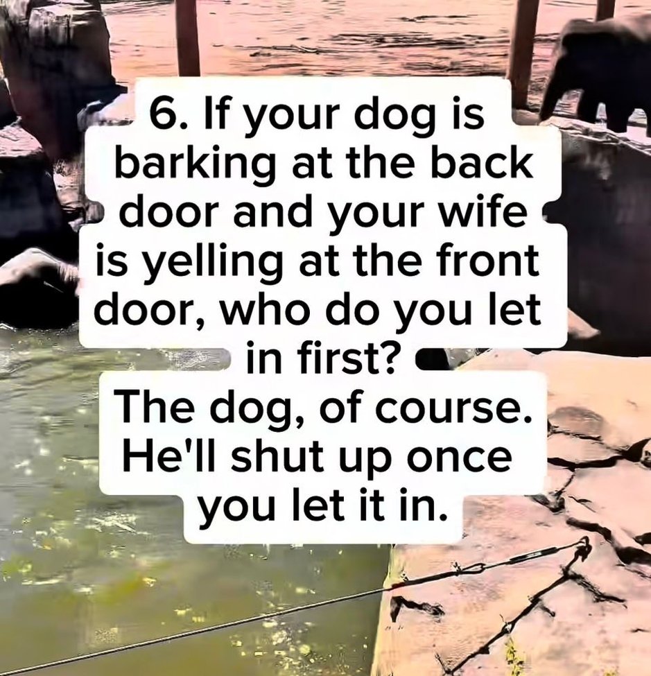 Just Meme's - (No Political Memes) | Trike Talk