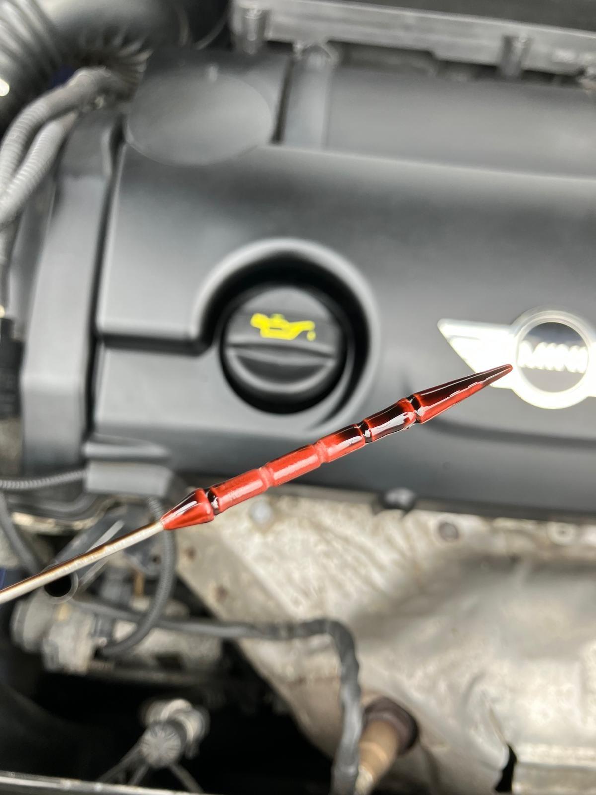 checking oil on mini