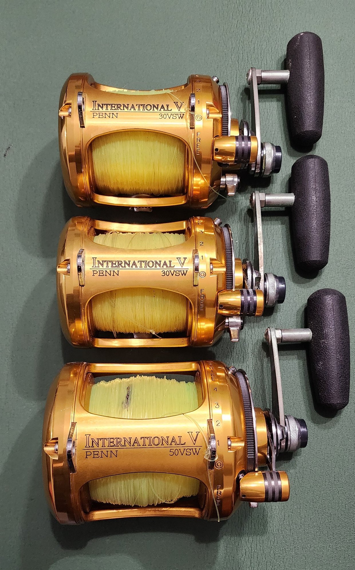 Florida - 3 Penn VSW'S 2 30S 1 50w | Bloodydecks