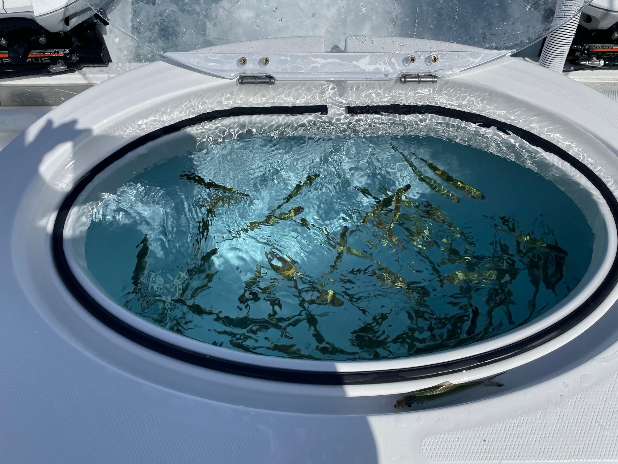 New Invincible 33 Cat Announced - Page 10 - The Hull Truth - Boating ...