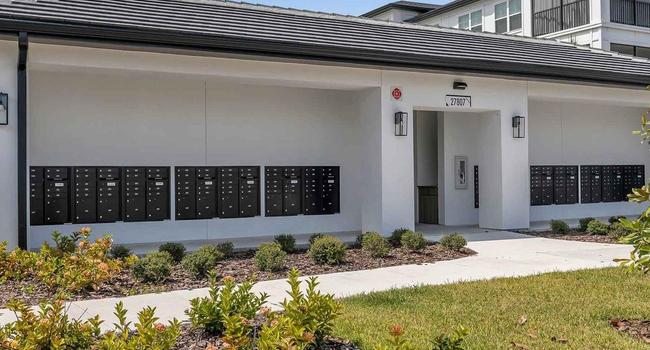 Avasa Grove West - 11 Reviews | Wesley Chapel, FL Apartments for Rent ...