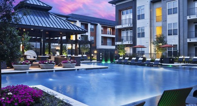 Locale Apartments - 55 Reviews | Dallas, Tx Apartments for Rent ...